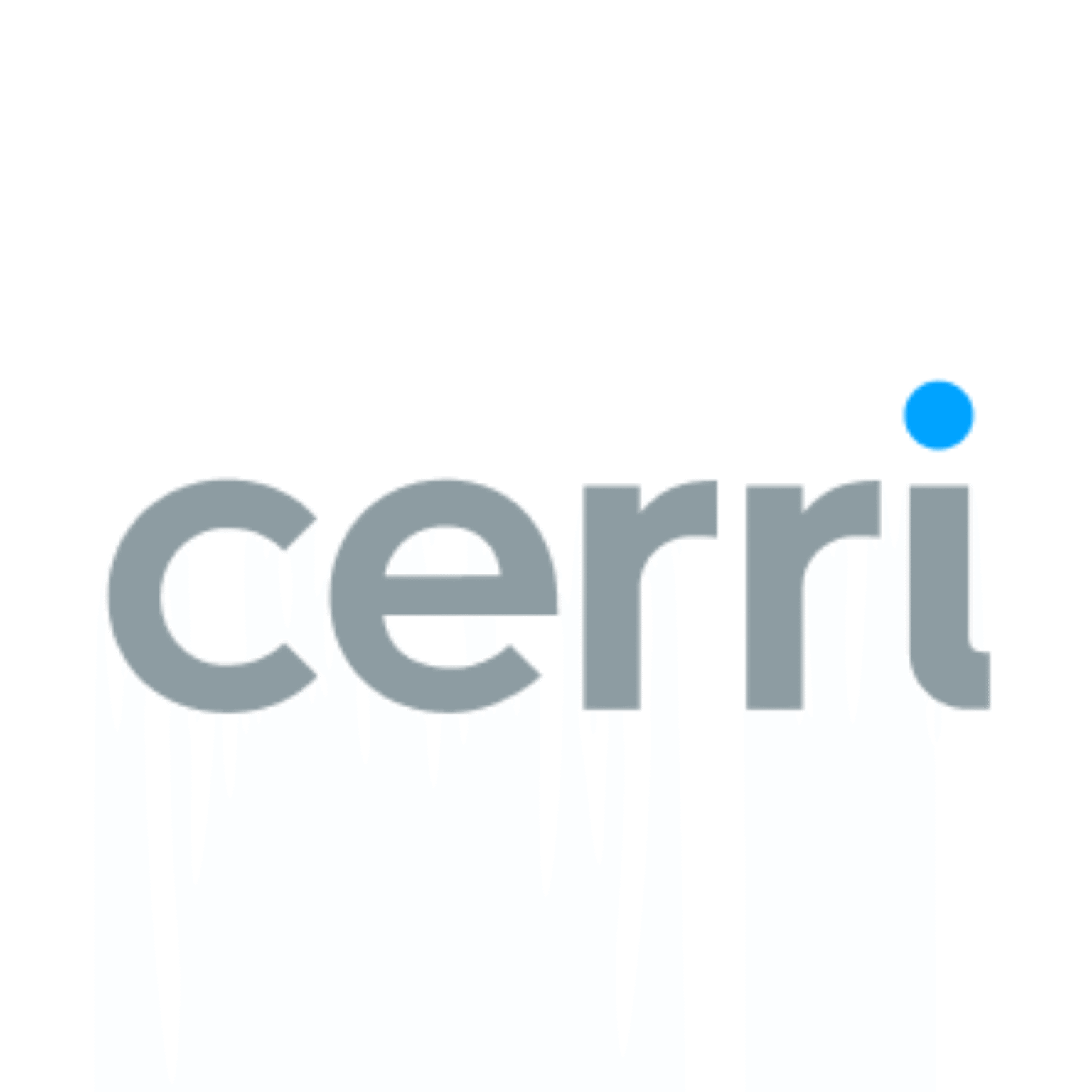 Cerri Review 2026 – Features, Pricing, and PPM Capabilities
